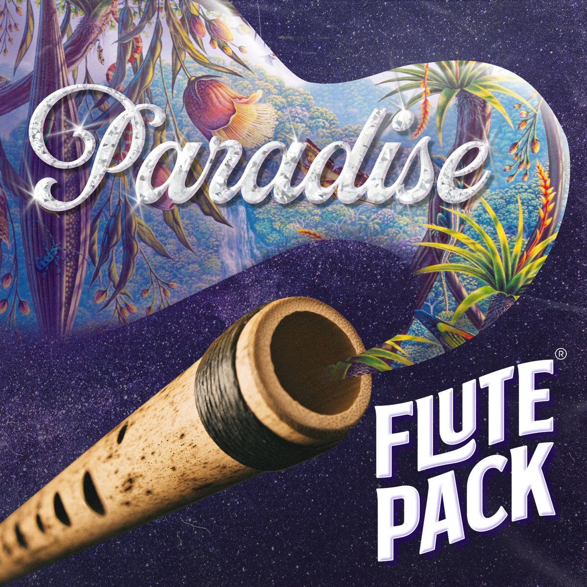 FLUTE PACK: PARADISE – Kitsi Marketplace