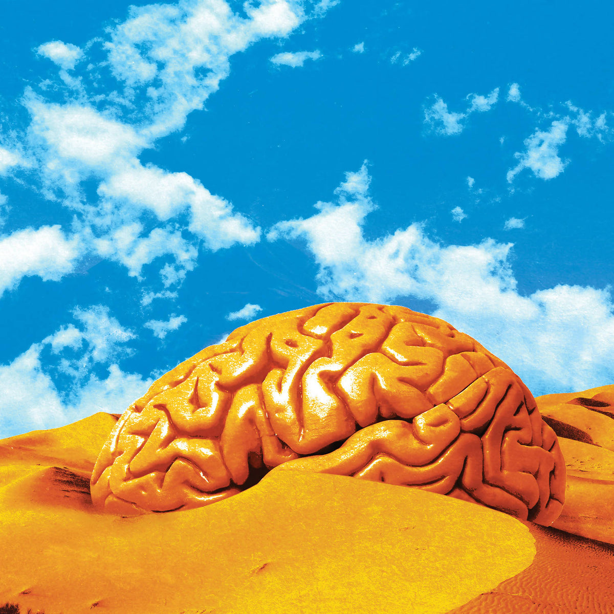 Cortex Gold – Kitsi Marketplace